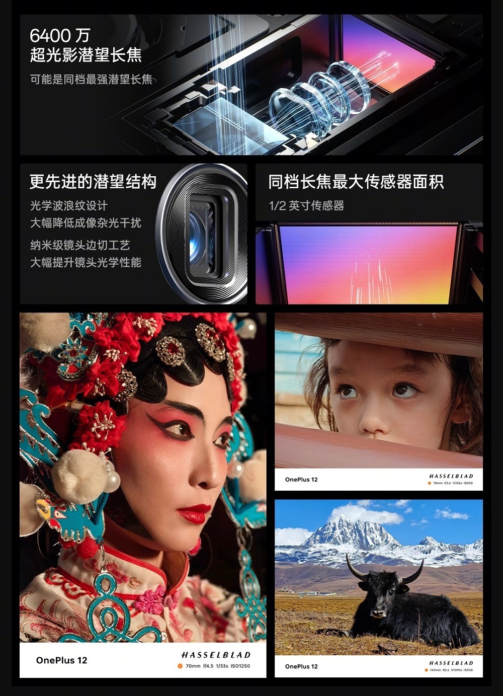 OnePlus OnePlus 12 OnePlus OnePlus 12